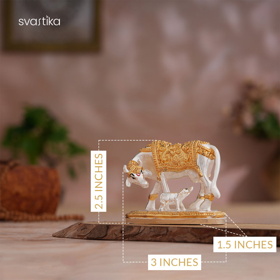 Buy Half Saree Function Gifting | Thoughtful Gifts for Her